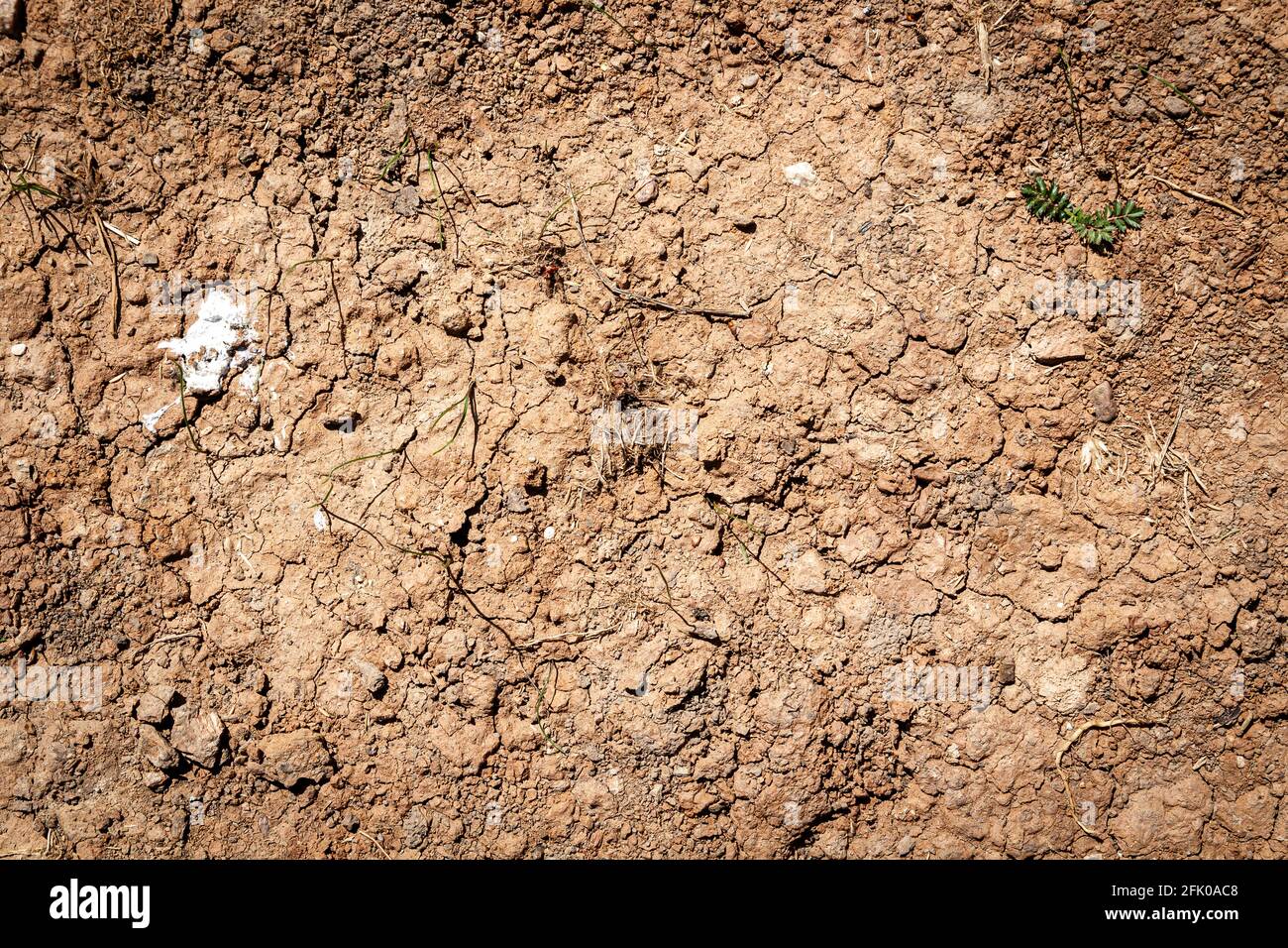 Abstract ground texture with clumps. Soil background Stock Photo - Alamy