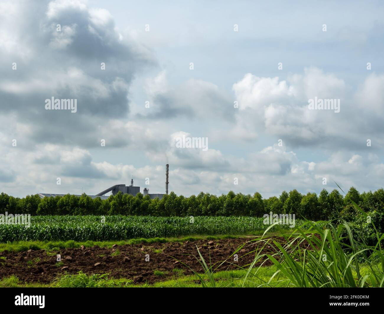Industrial plant among agricultural areas Soil preparation for corn and ...