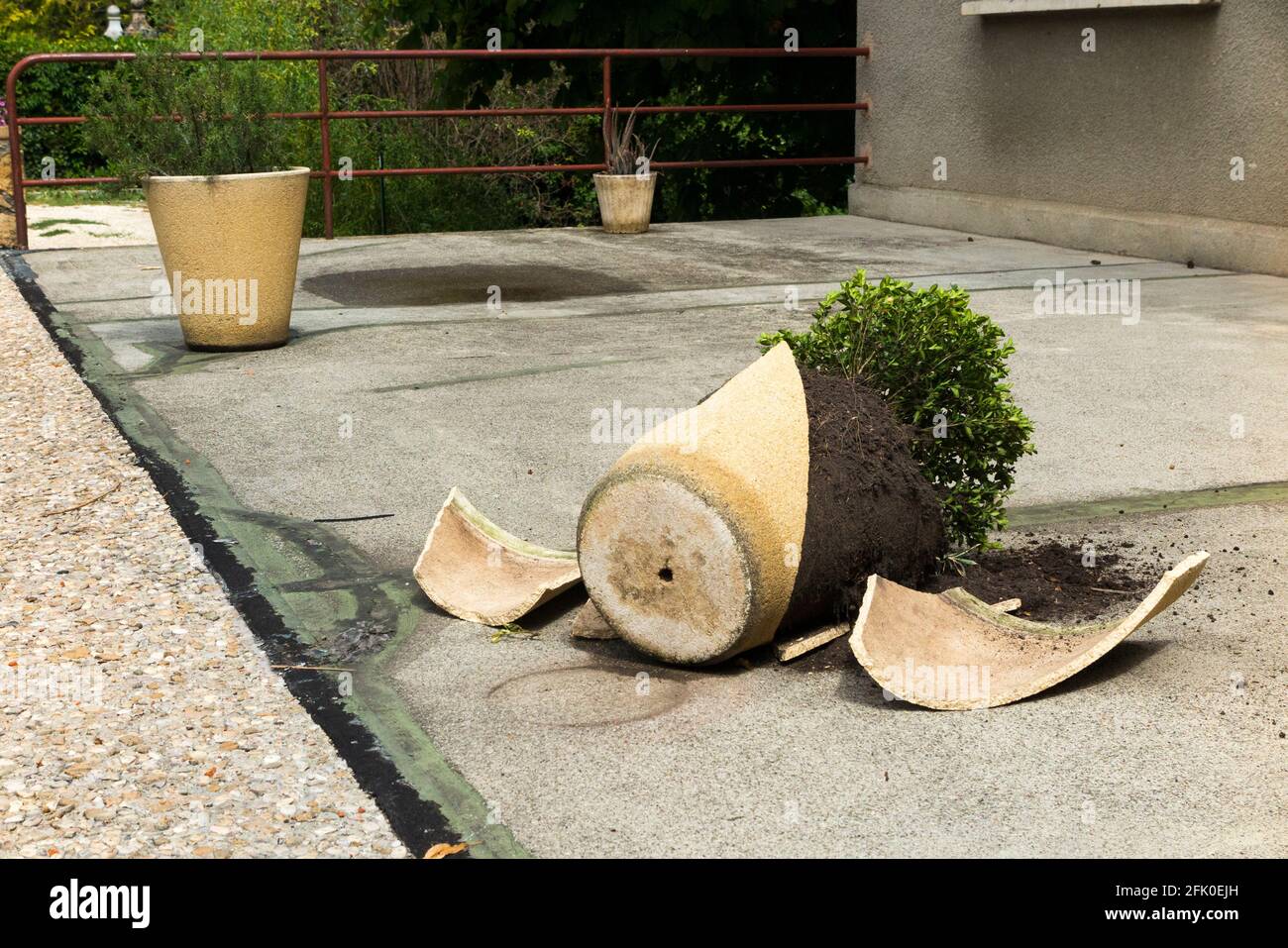 Damaged pot plants hi-res stock photography and images - Alamy
