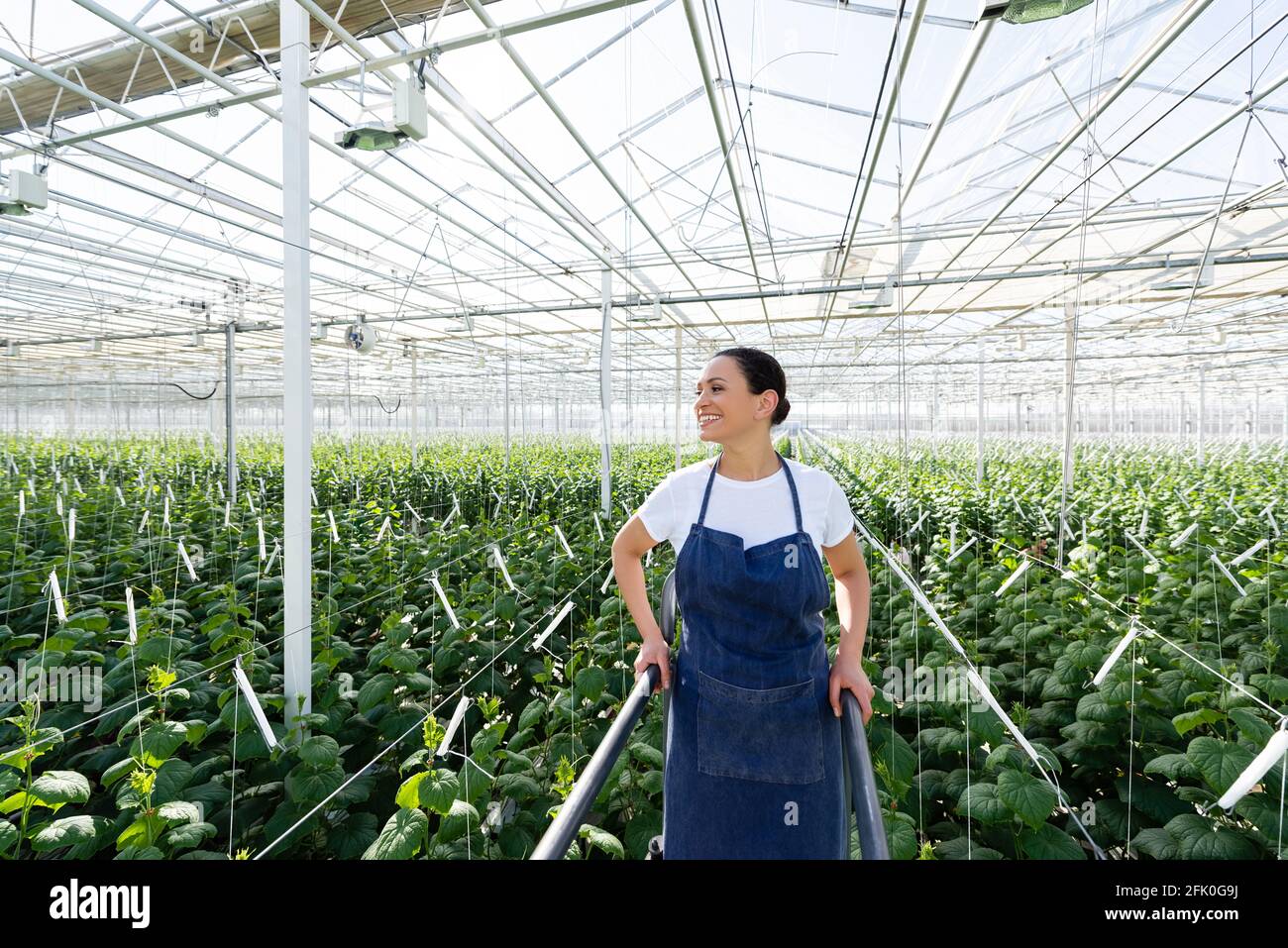 American farmer hi-res stock photography and images - Alamy