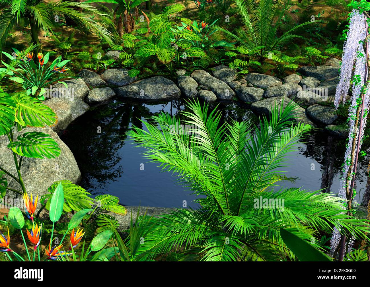 3d rendering strelitzia bird paradise hi-res stock photography and ...