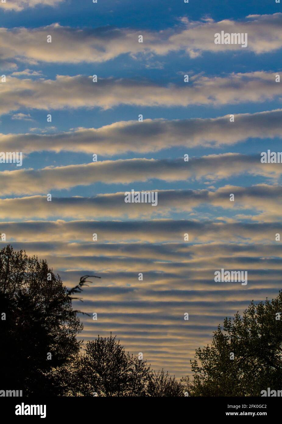 Stratocumulus Undulatus