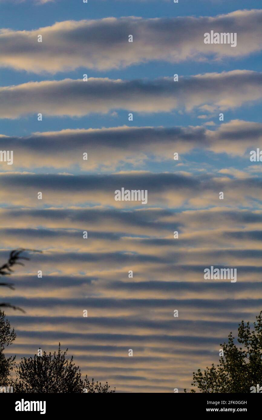Stratocumulus Undulatus Clouds Stock Photo - Alamy