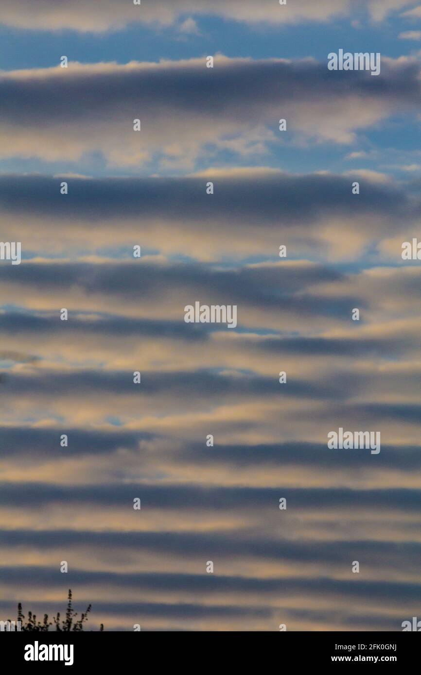 Stratocumulus Undulatus Clouds Stock Photo - Alamy