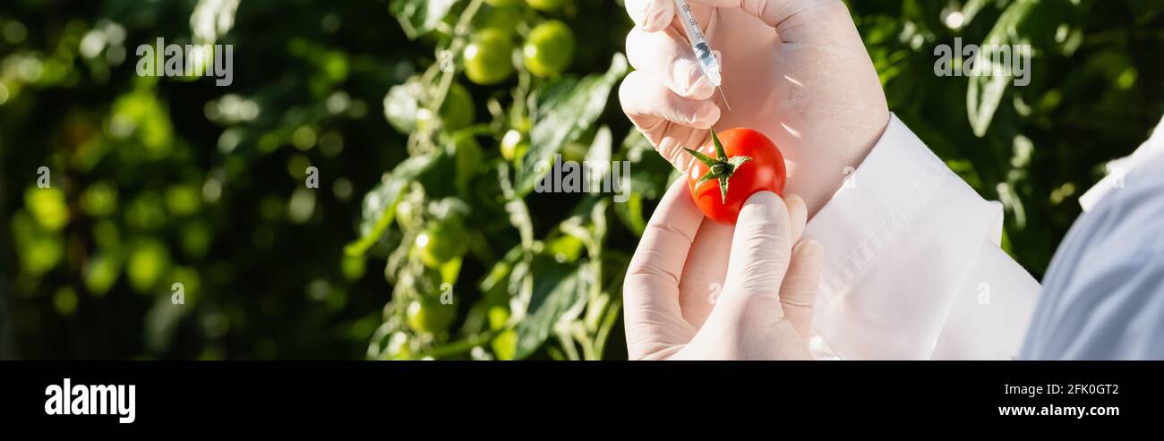 Greenhouse crop inspection hi-res stock photography and images - Alamy