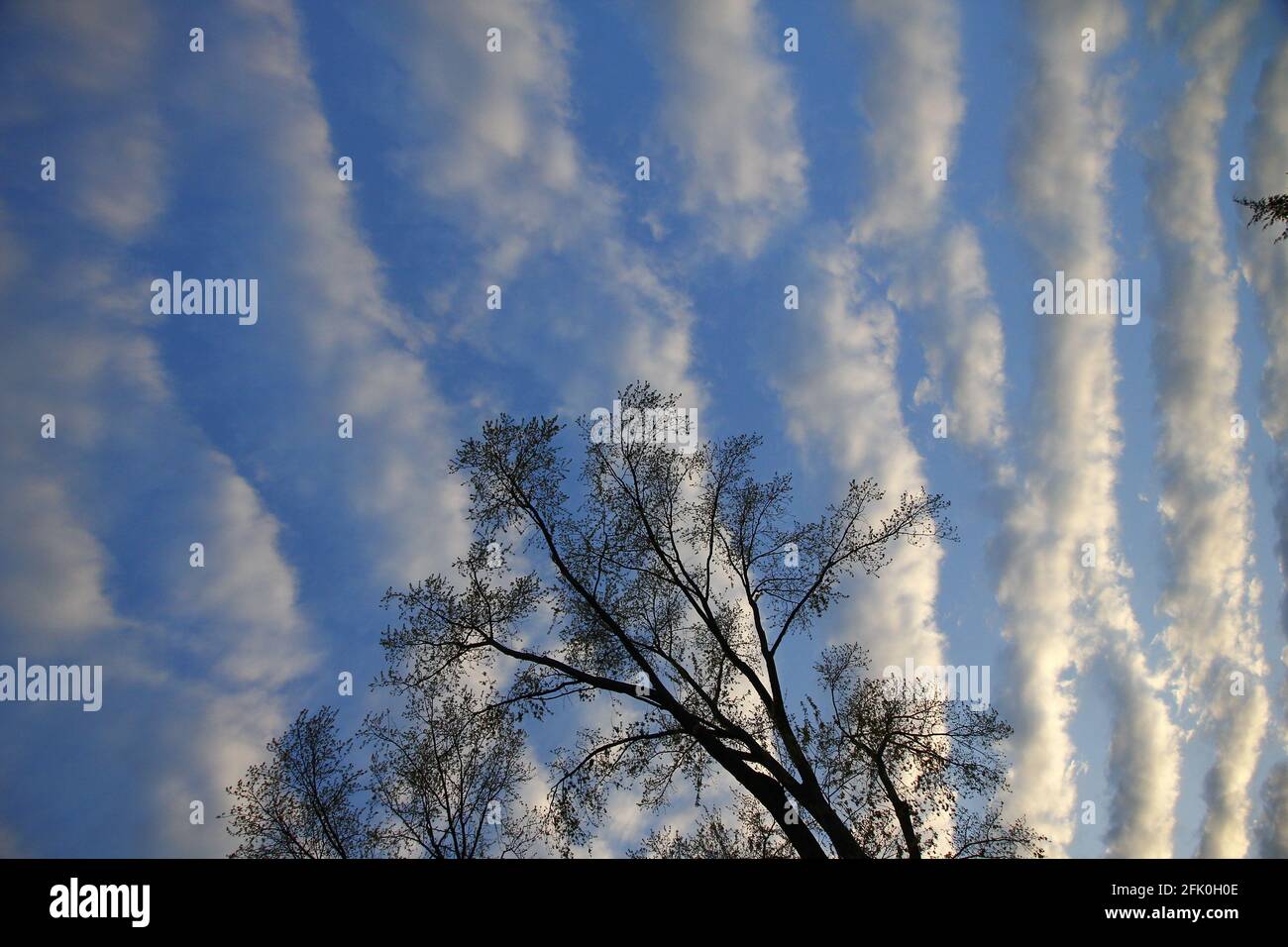 Dramatic sunrise stratocumulus clouds hi-res stock photography and ...