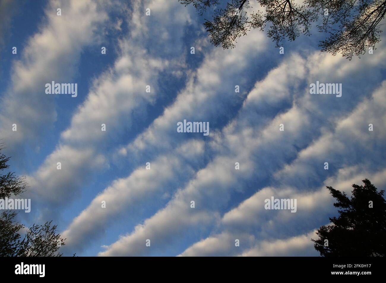 Stratocumulus Undulatus