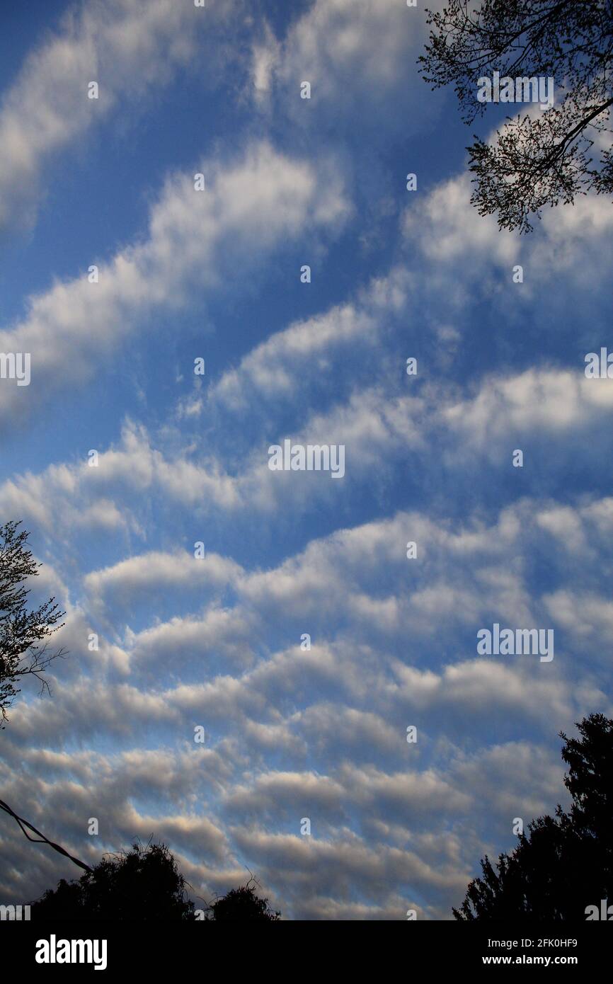 Stratocumulus Undulatus
