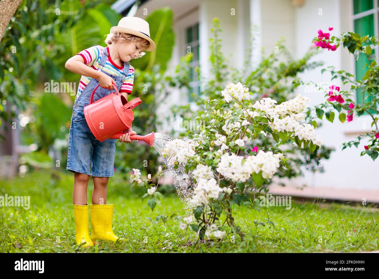 Child gardening. Little boy with red watering can in blooming sunny ...