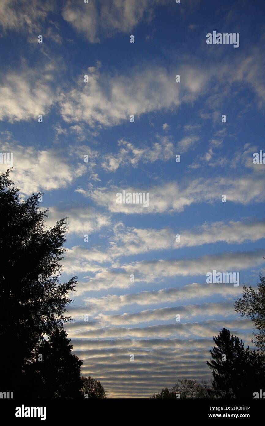 Stratocumulus Undulatus Clouds Stock Photo - Alamy