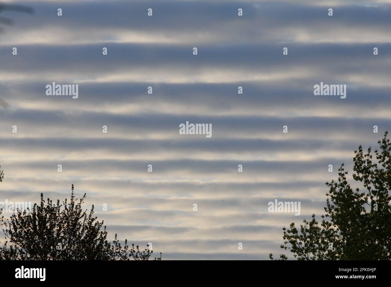 Stratocumulus Undulatus