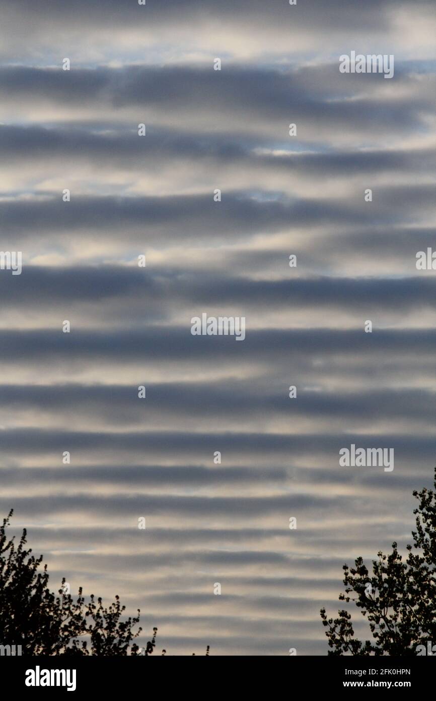 Stratocumulus Undulatus Clouds Stock Photo - Alamy