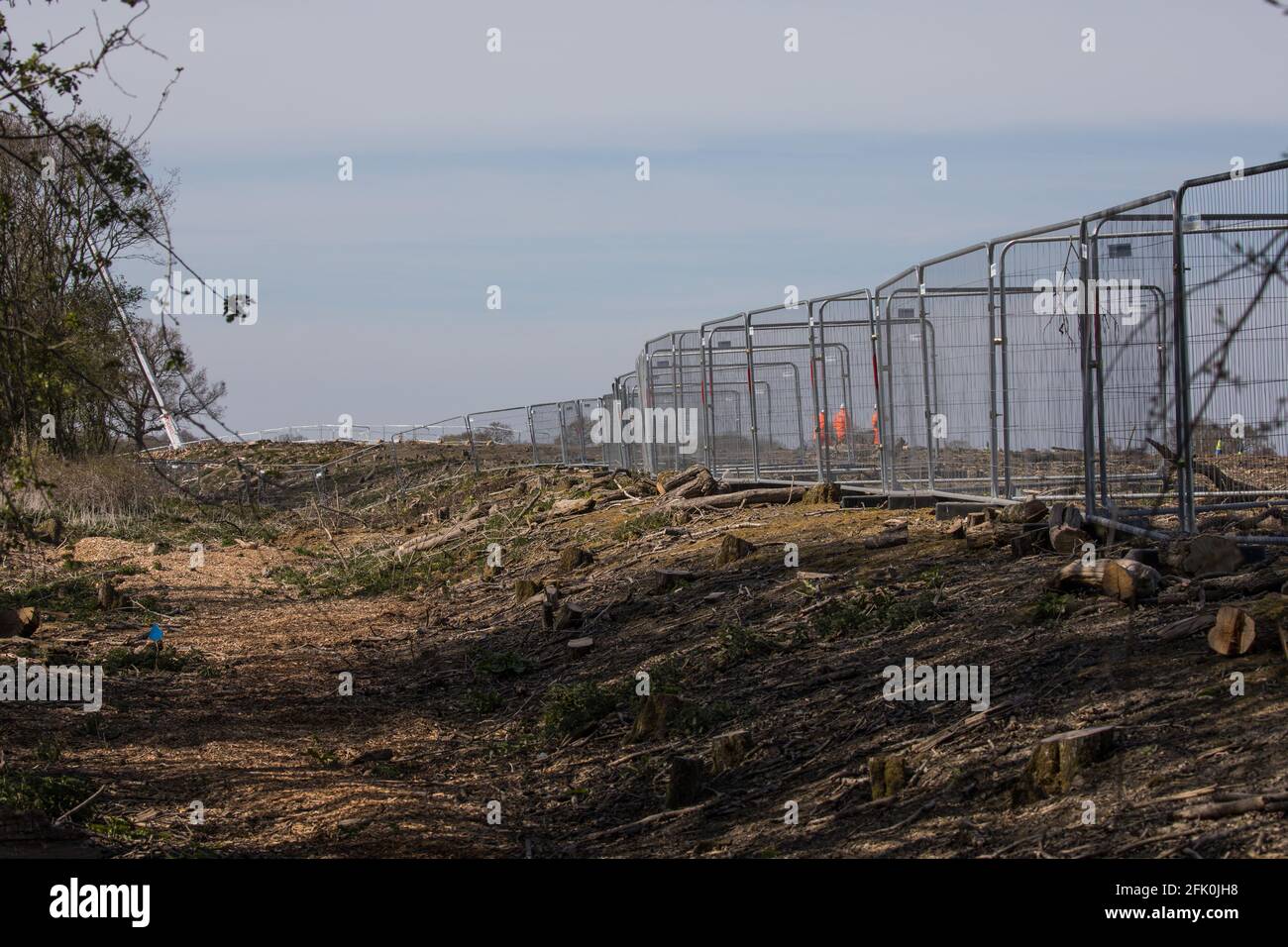 Calvert, UK. 26th April, 2021. An area almost entirely cleared of trees ...
