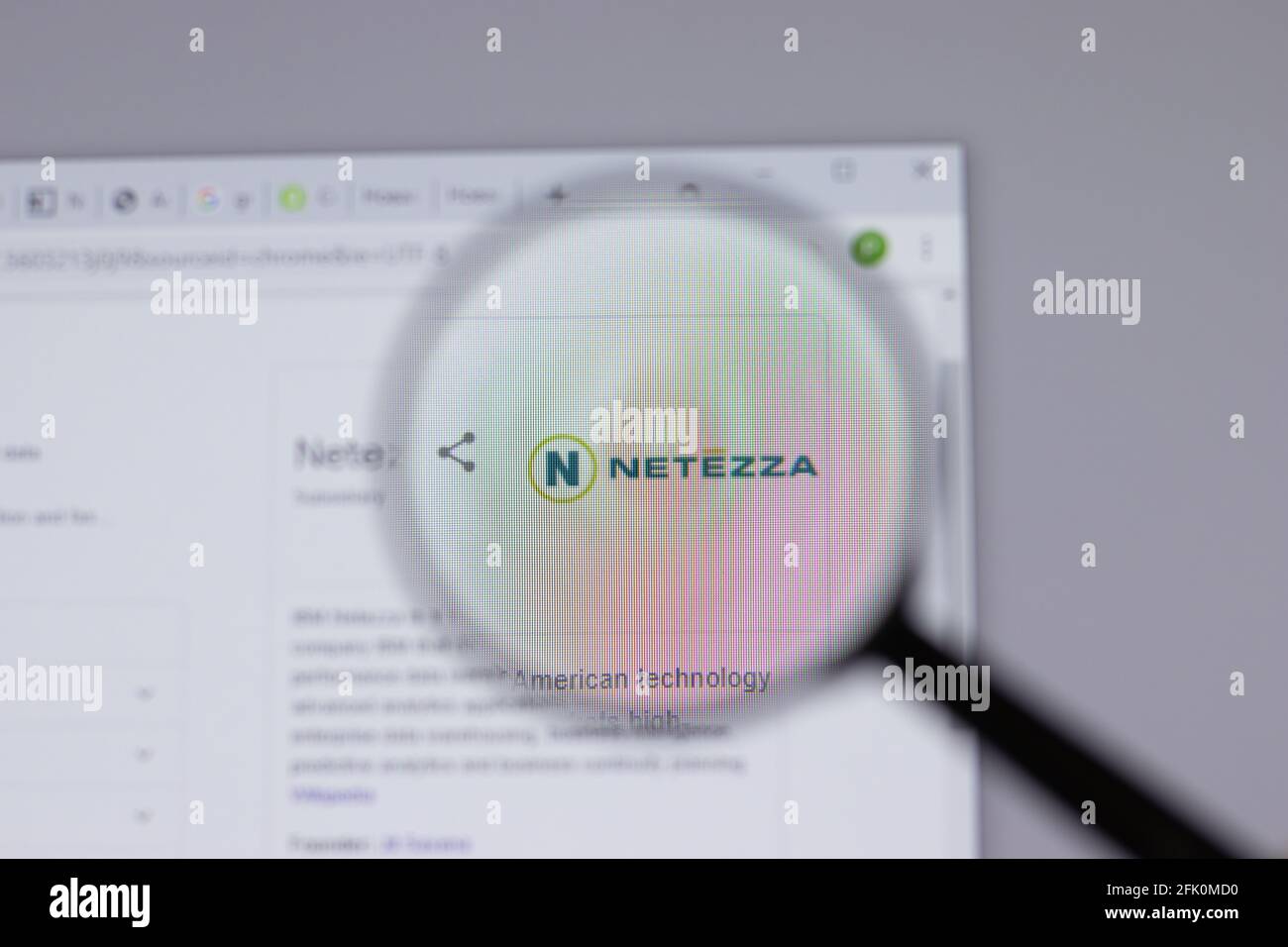 Netezza Logo