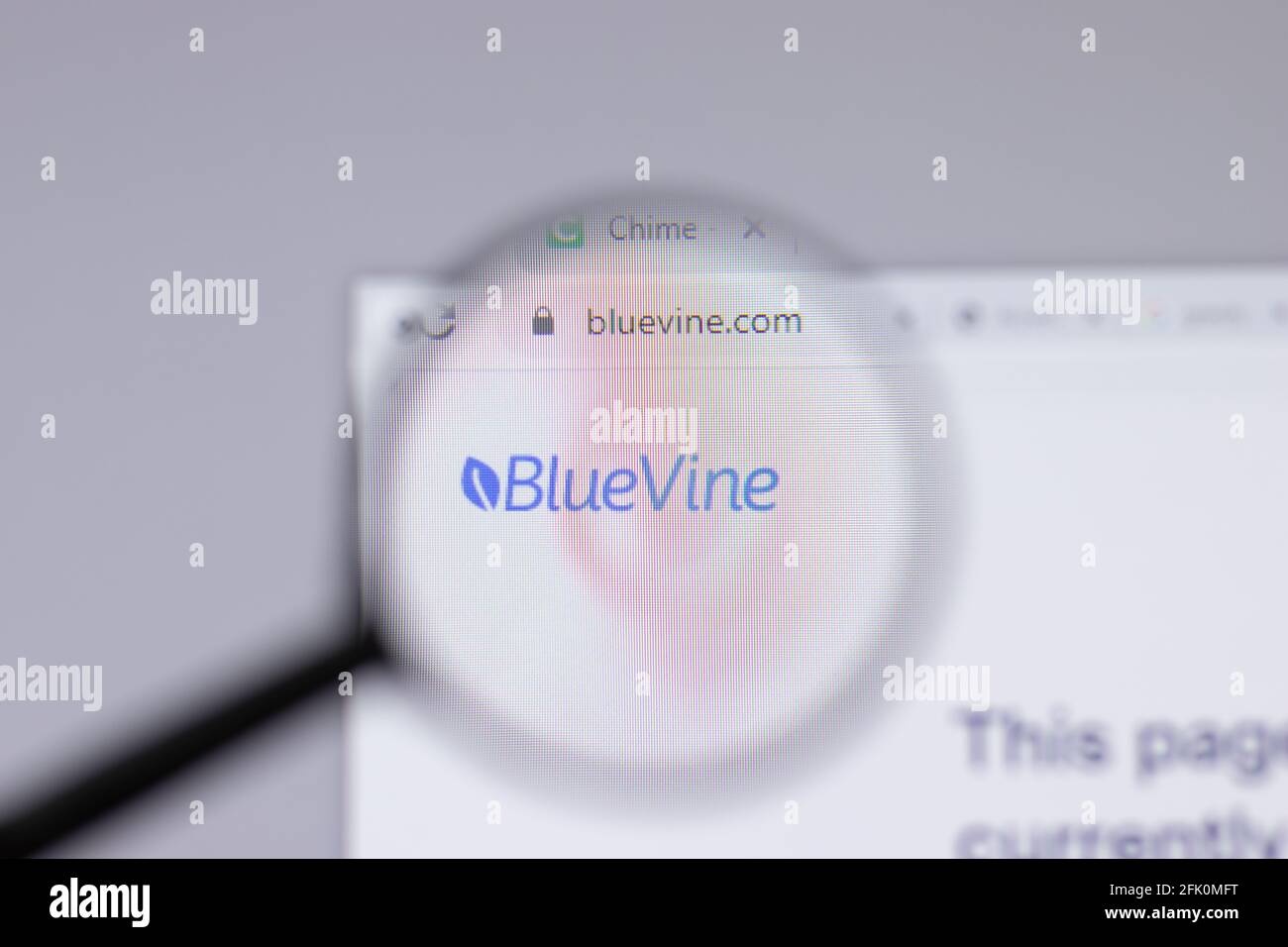 Bluevine logo hi-res stock photography and images - Alamy