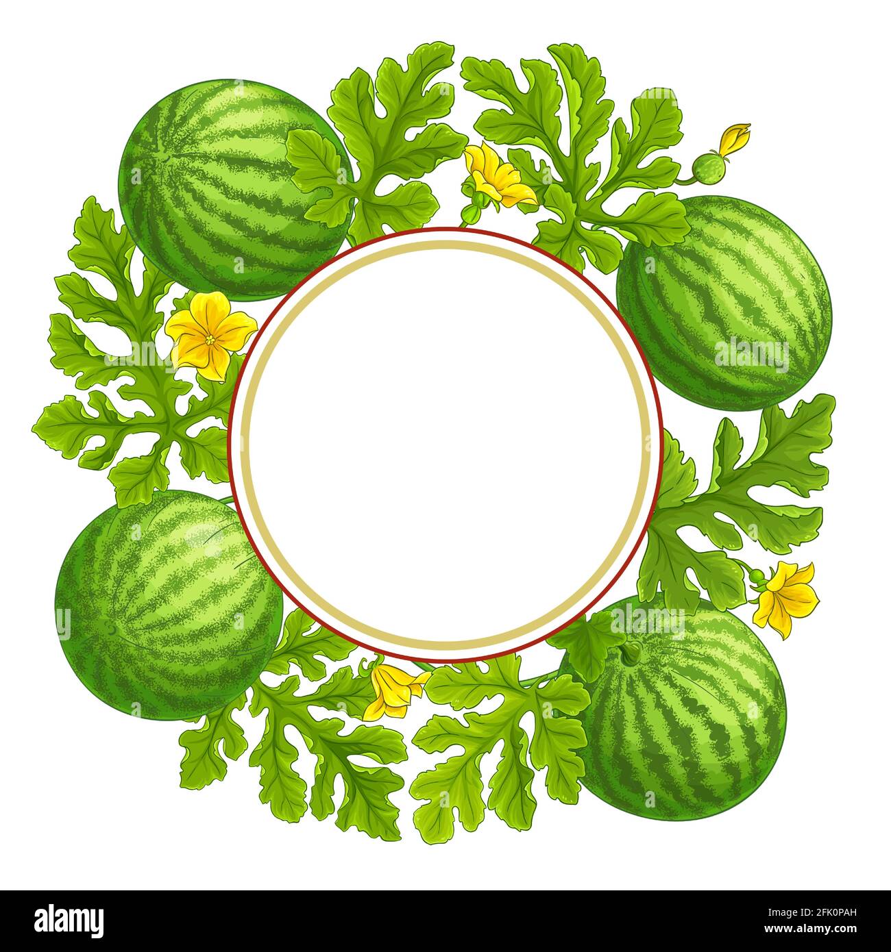 watermelon frame on white background Stock Vector Image & Art - Alamy