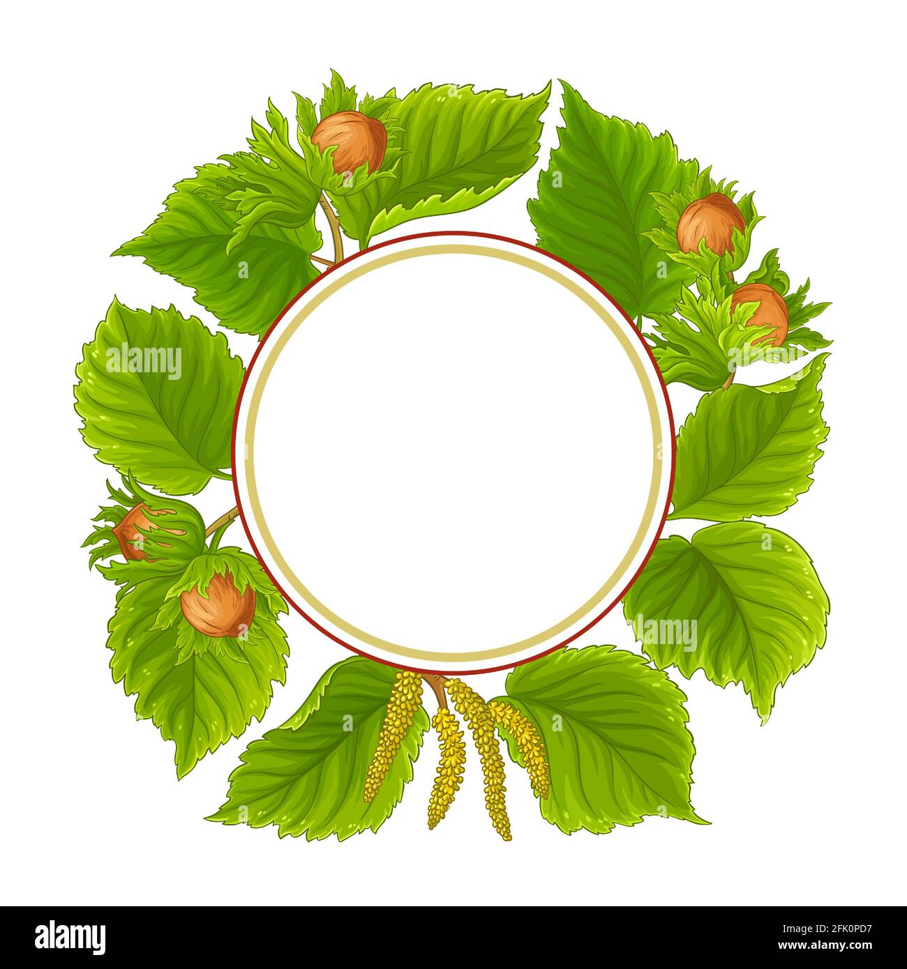 Brown ripe hazelnut on Stock Vector Images - Alamy