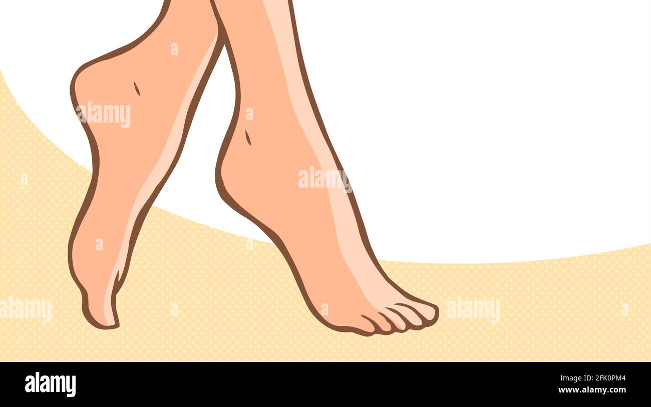Line drawing of female legs. Pedicure, body care and beauty. Vector ...