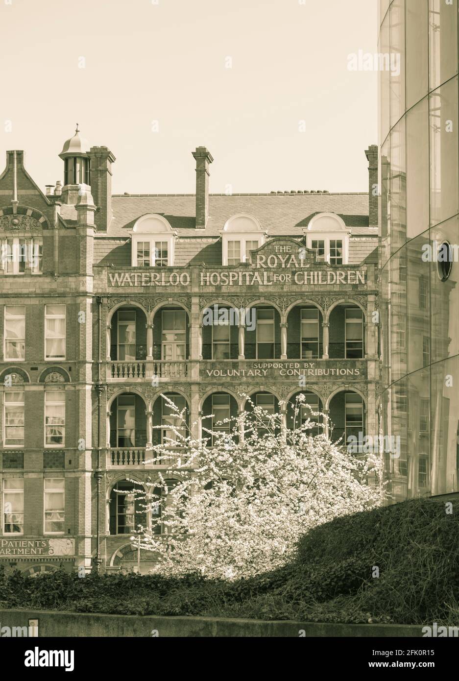 Royal waterloo hospital hi-res stock photography and images - Alamy