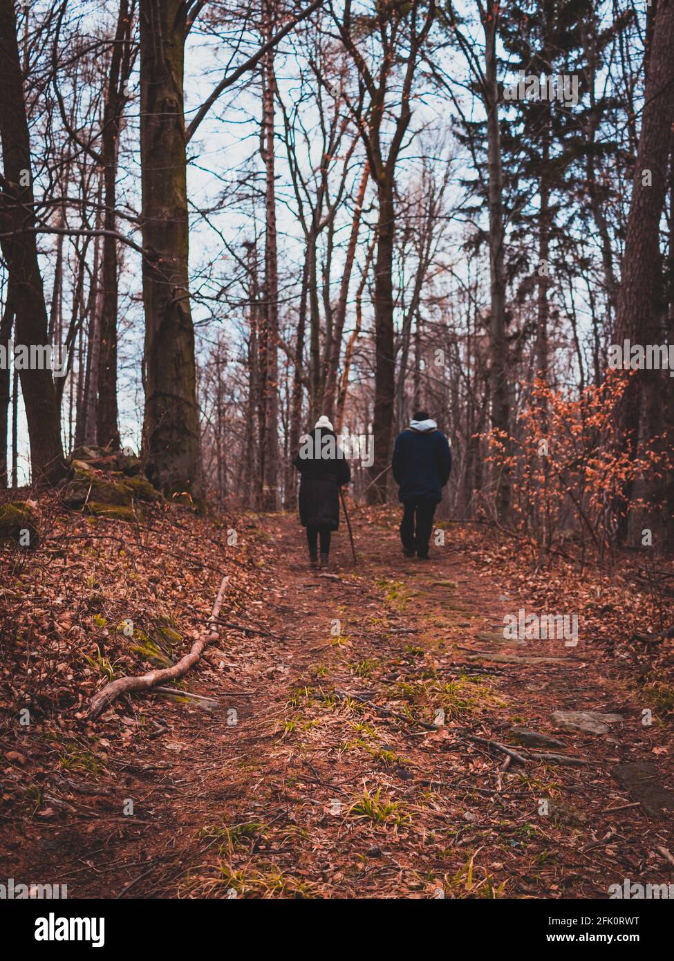 Couple walking on the path on the mountain forest Stock Photo - Alamy