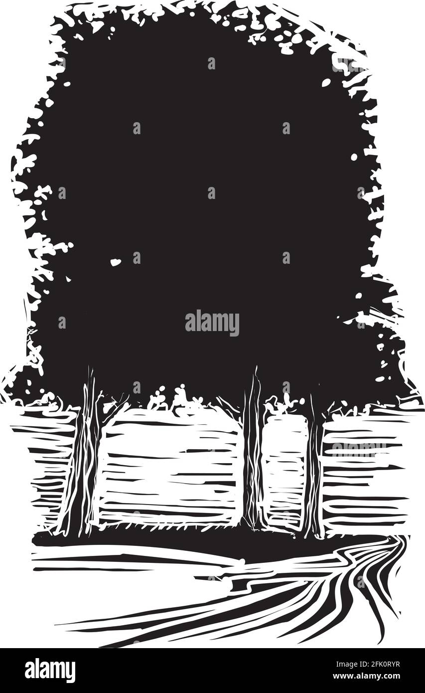 Grove vector vectors hi-res stock photography and images - Alamy