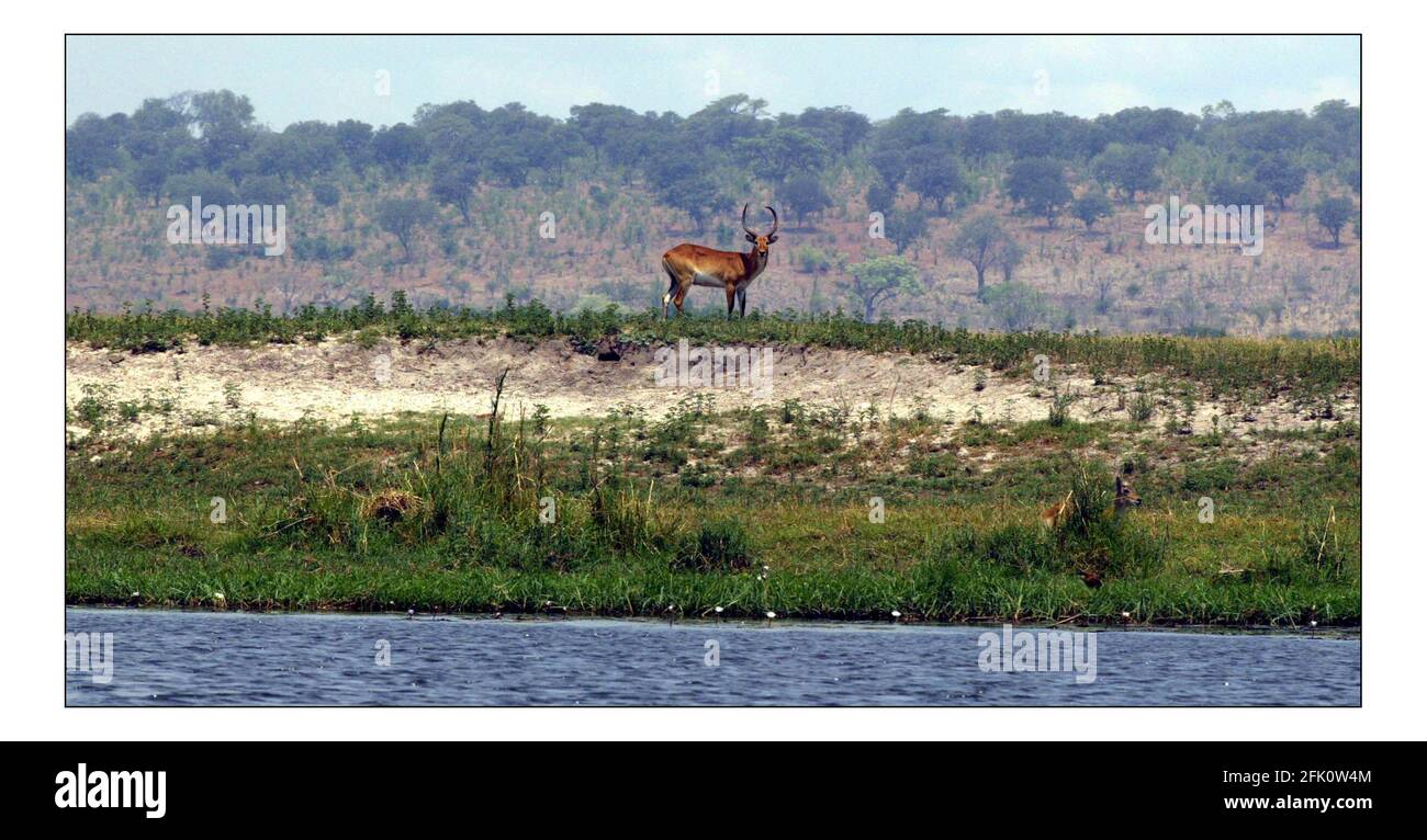 Border between botswana and namibia hi-res stock photography and images ...