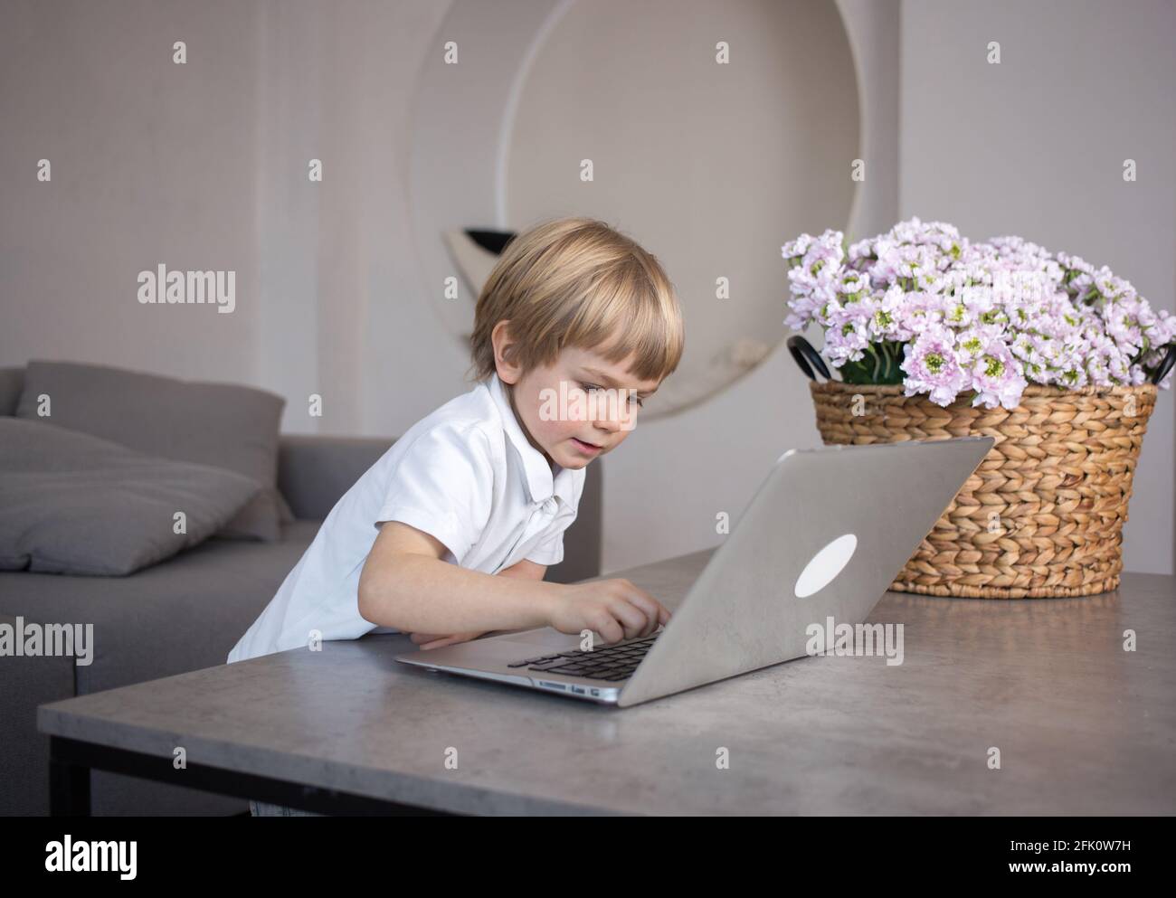 inquisitive cute boy 4-5 years old plays at the laptop keyboard in the room. Distance learning ...