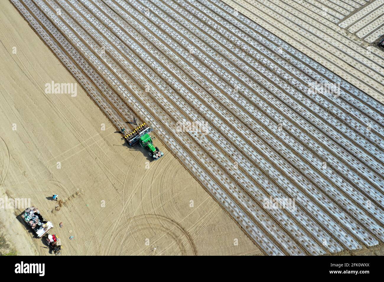 The 770,000 acres of cotton fields complete seed sowing in Shuanghe ...