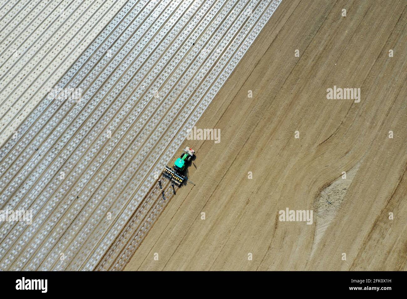 The 770,000 acres of cotton fields complete seed sowing in Shuanghe ...