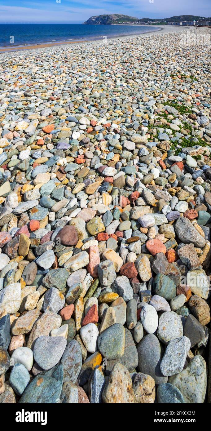Pebbles beach wales llandudno hi-res stock photography and images - Alamy