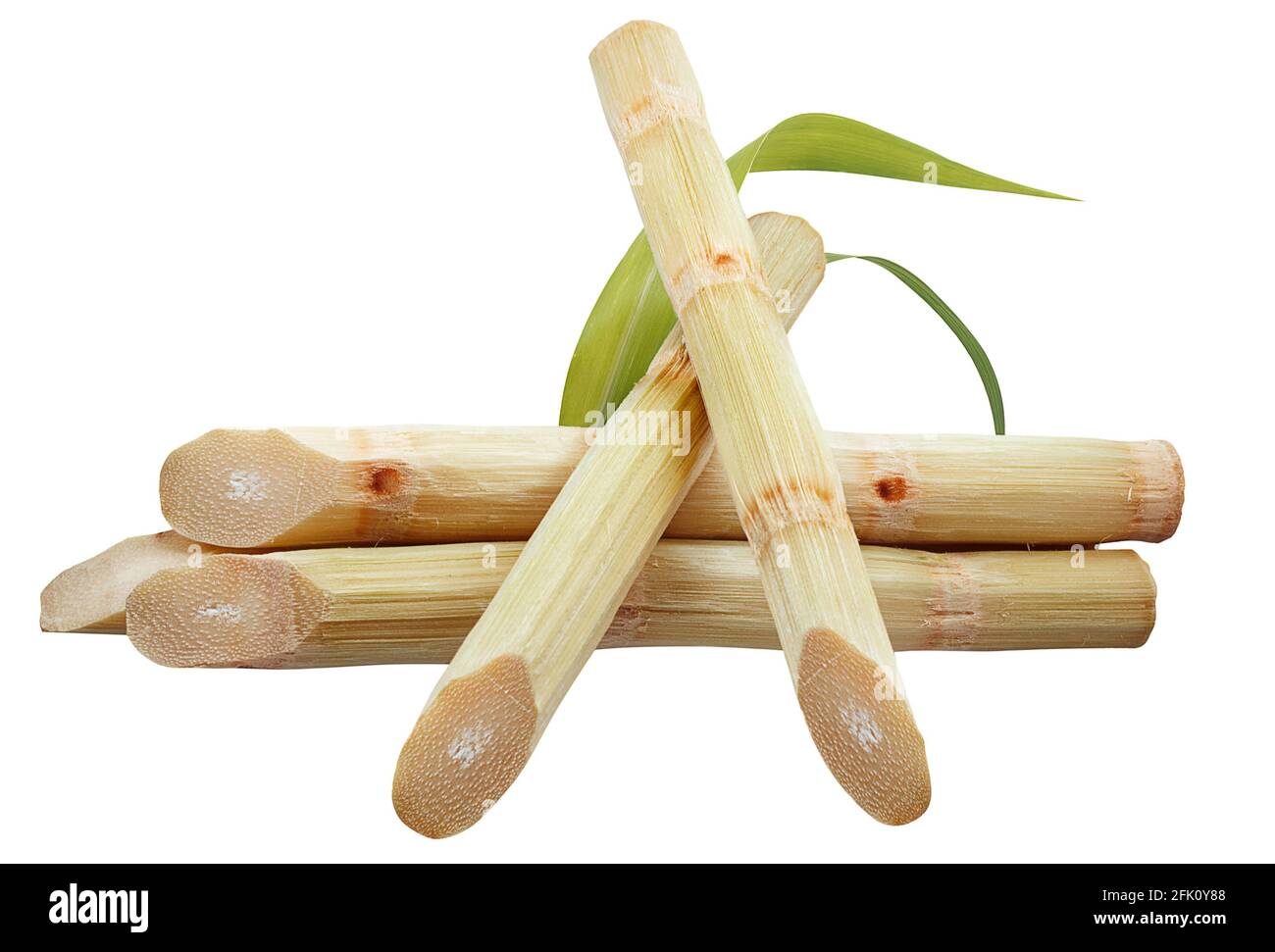 Single object of Sugar cane isolated on white background Stock Photo ...