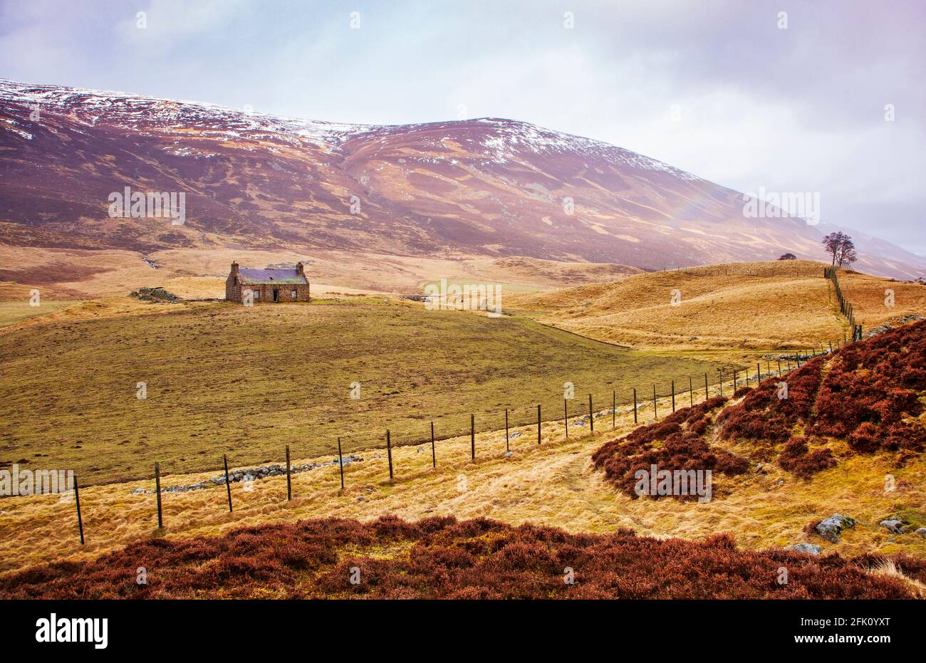 Isolated farmhouse uk hi-res stock photography and images - Alamy