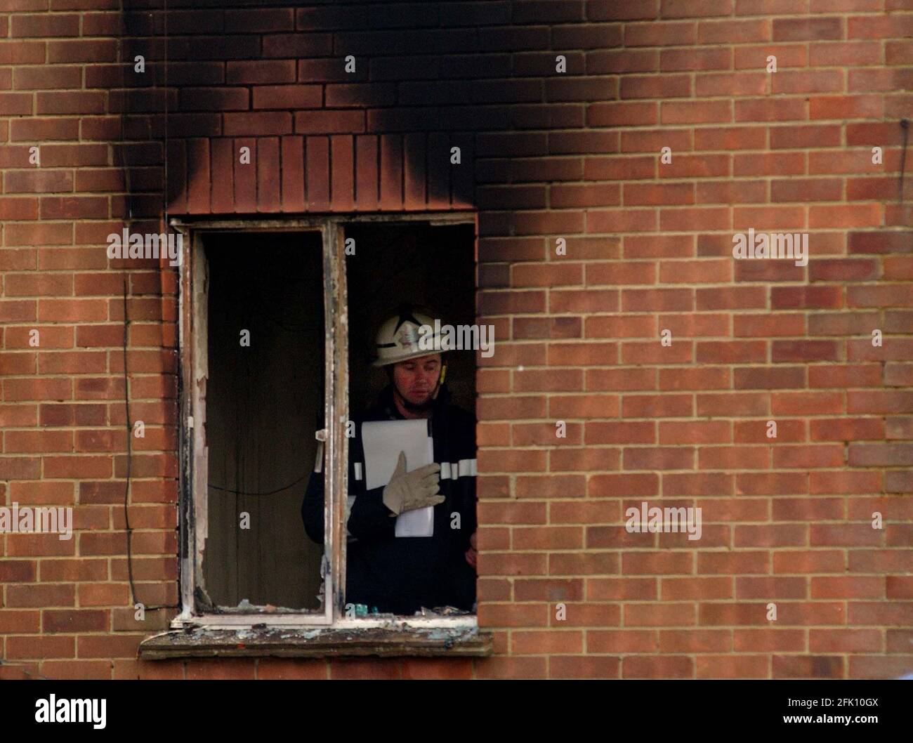 Stert hi-res stock photography and images - Alamy