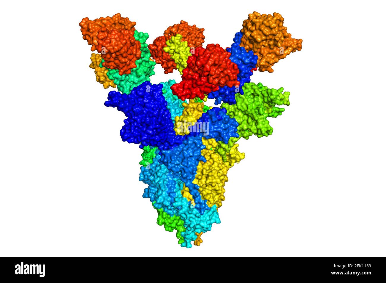 SARS-CoV-2 spike protein in complex with human monoclonal antibody ...
