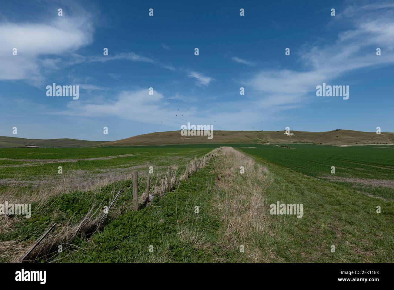 Wide open space grass hi-res stock photography and images - Alamy
