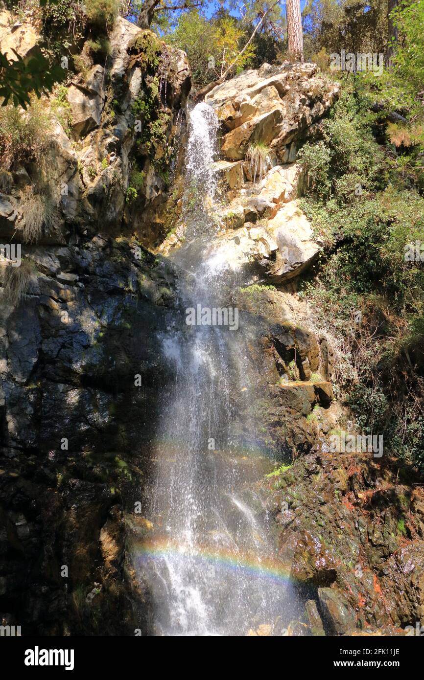 Troodos national forest park hi-res stock photography and images - Alamy