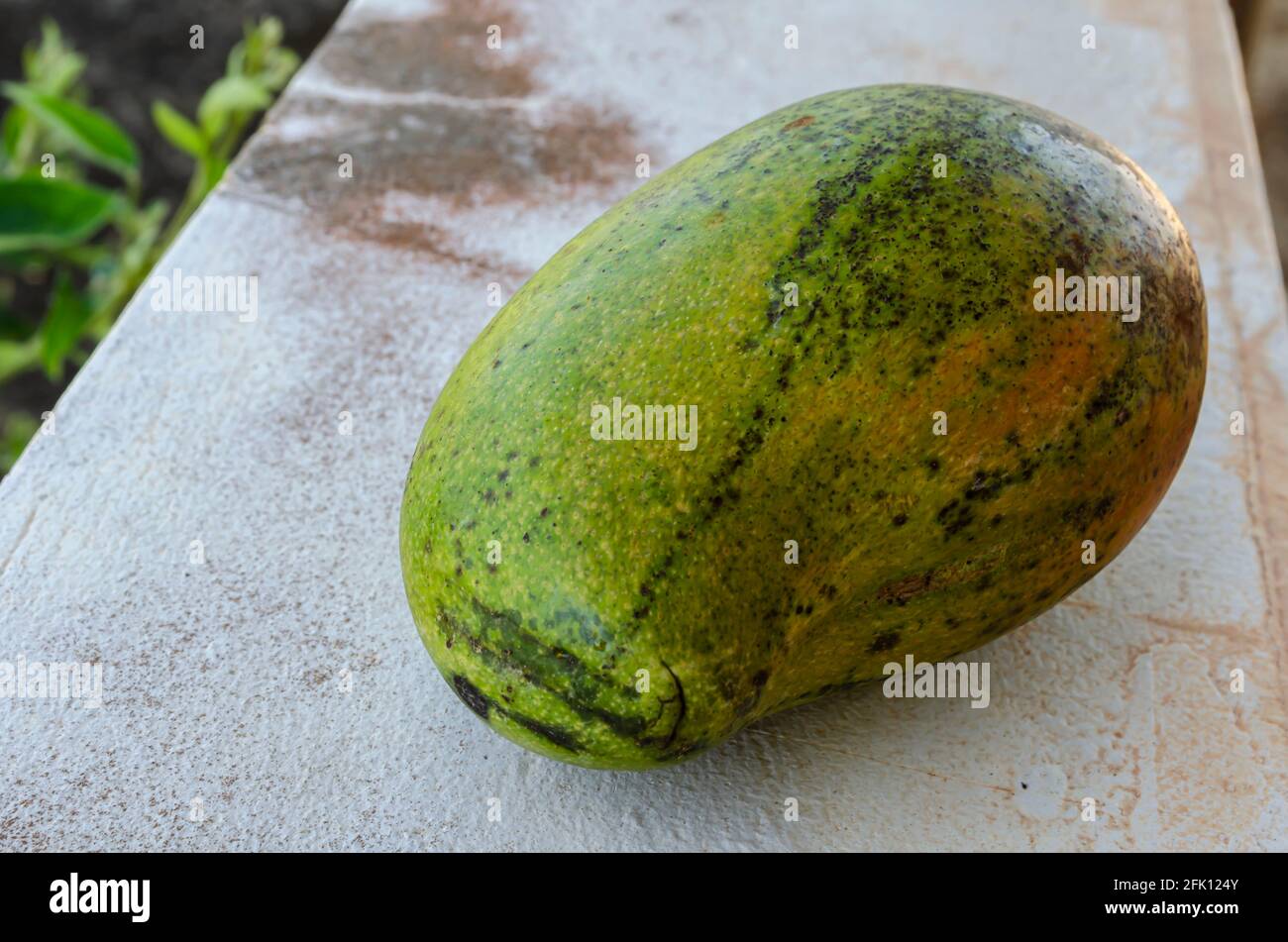 Indian mango hi-res stock photography and images - Alamy