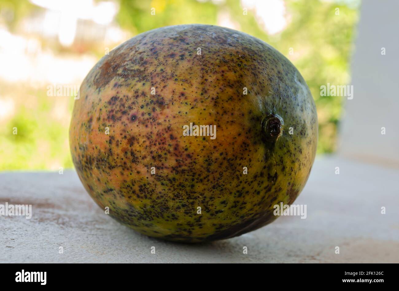 Indian mango hi-res stock photography and images - Alamy