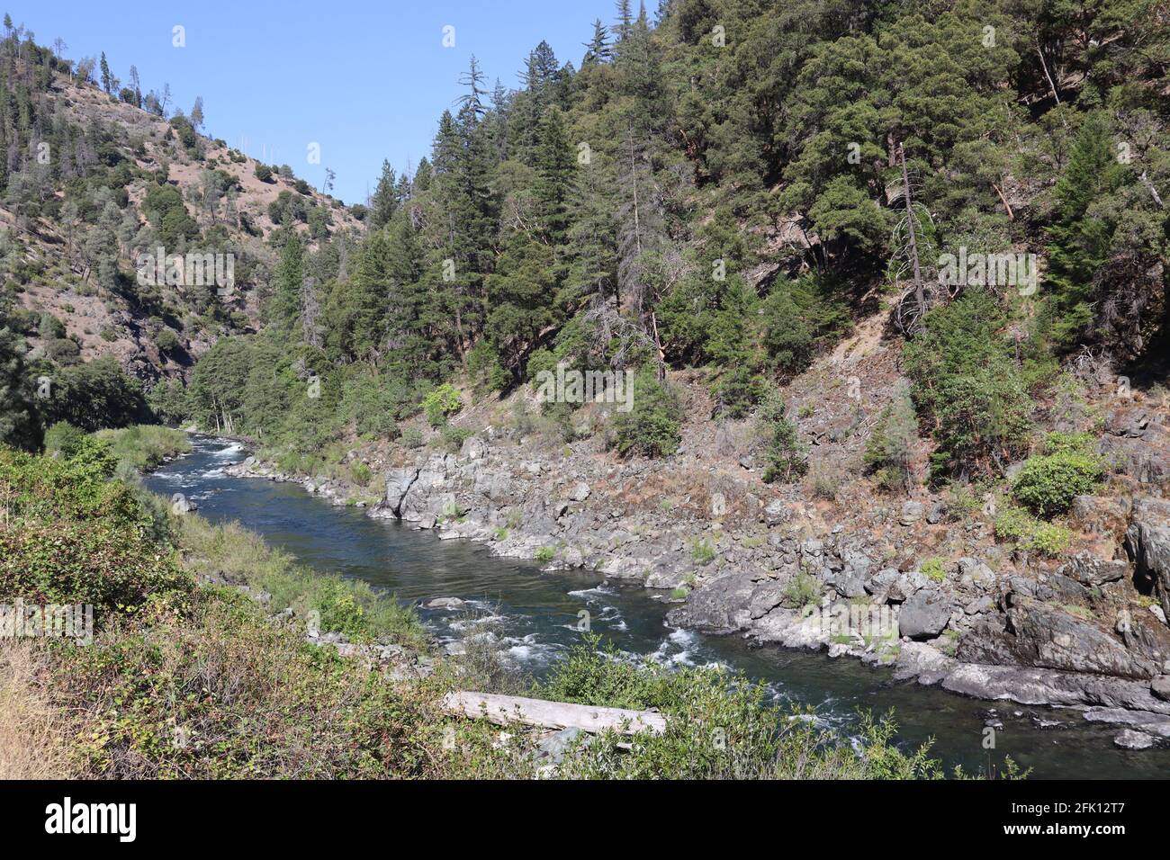 Trinity River running through a gorge among mountains with pine trees ...