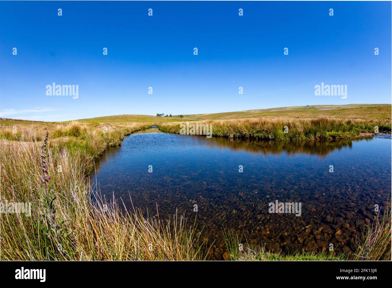 River Plym flows past Gutter Tor in Dartmoor National on its way to ...