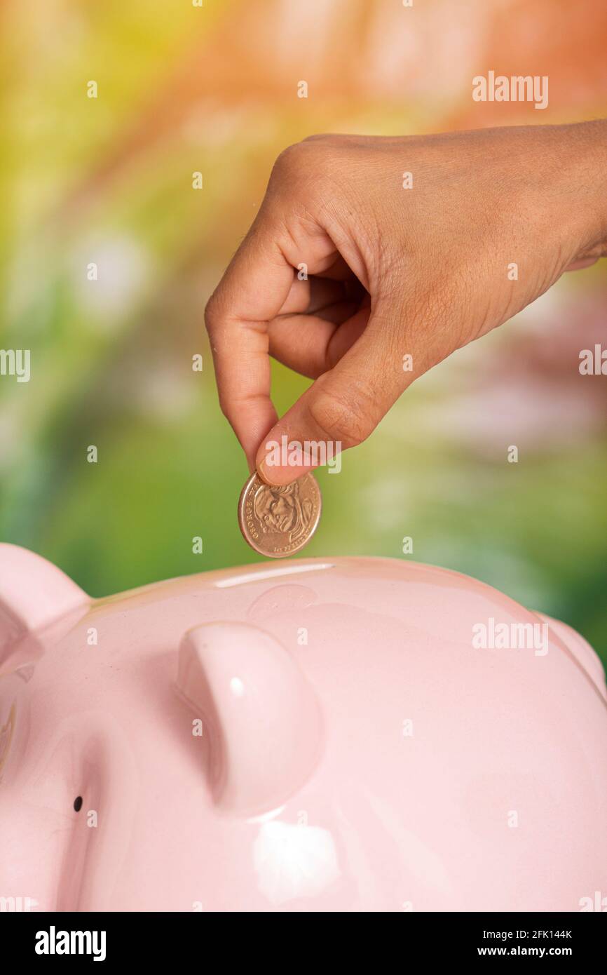 saving money in piggy bank Stock Photo - Alamy