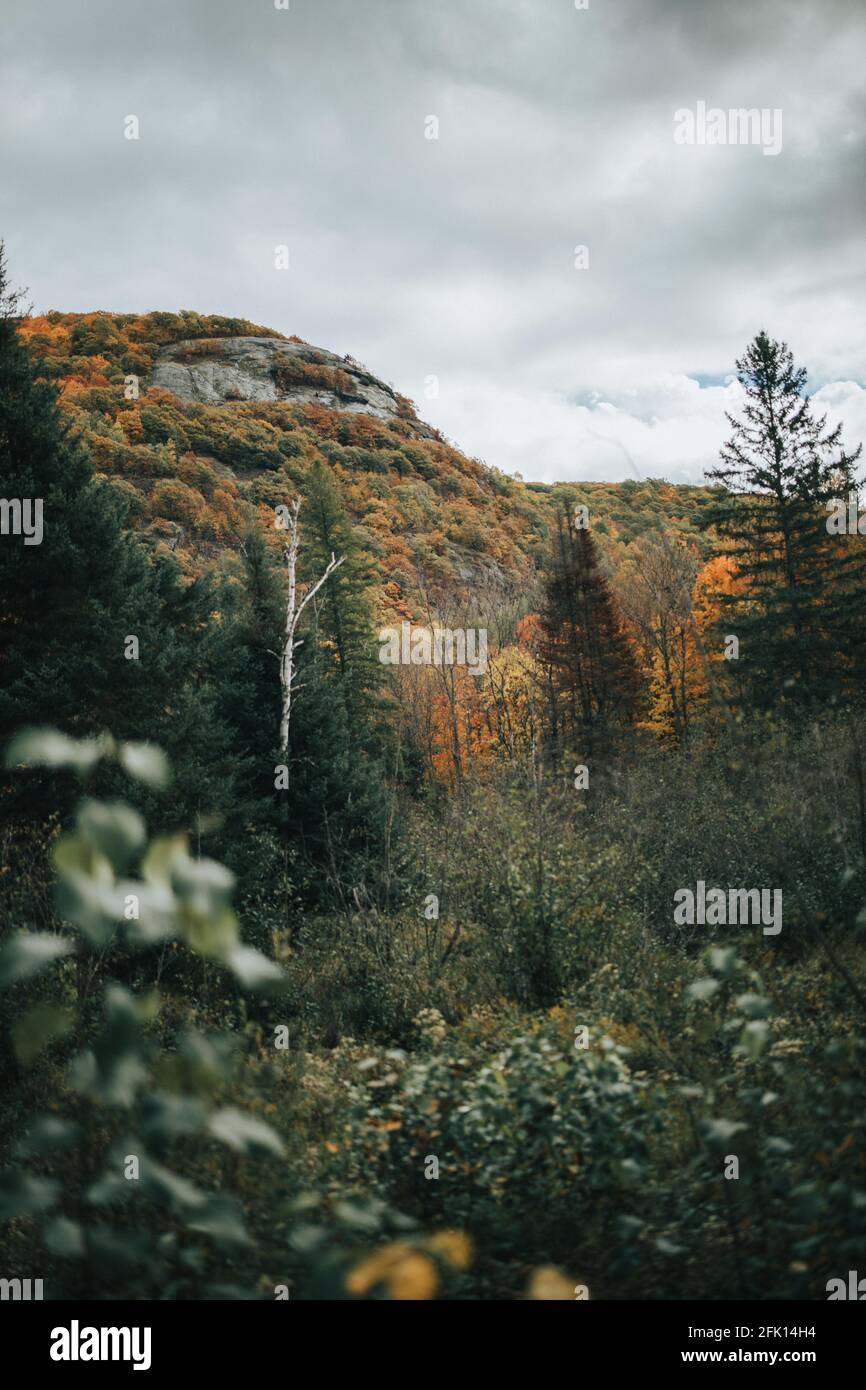 Proxiphoto hi-res stock photography and images - Alamy