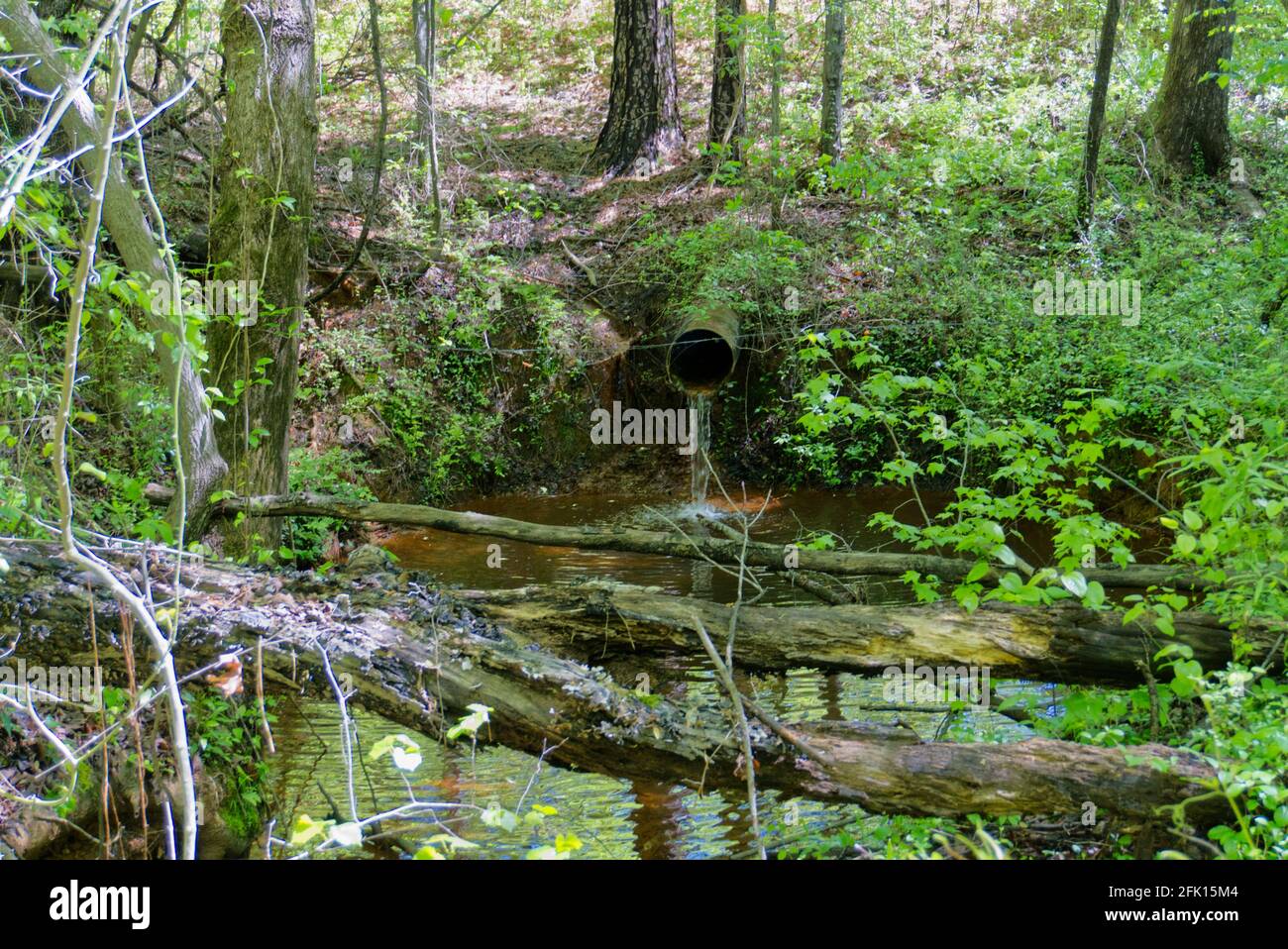 Stream running through trees hi-res stock photography and images - Alamy