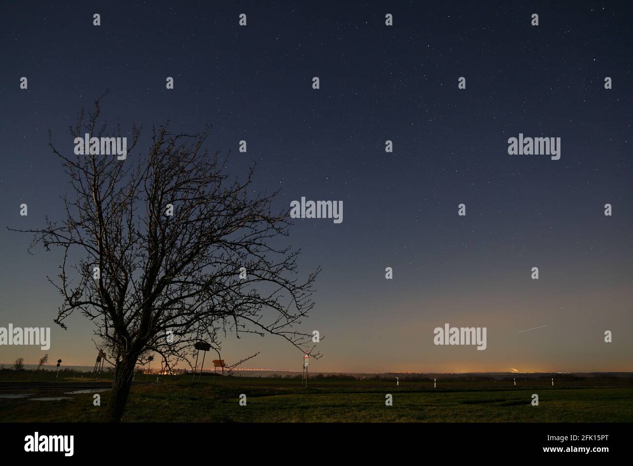 Tree under night sky Stock Photo - Alamy