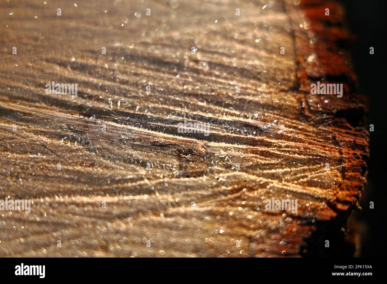 Log sun hi-res stock photography and images - Alamy