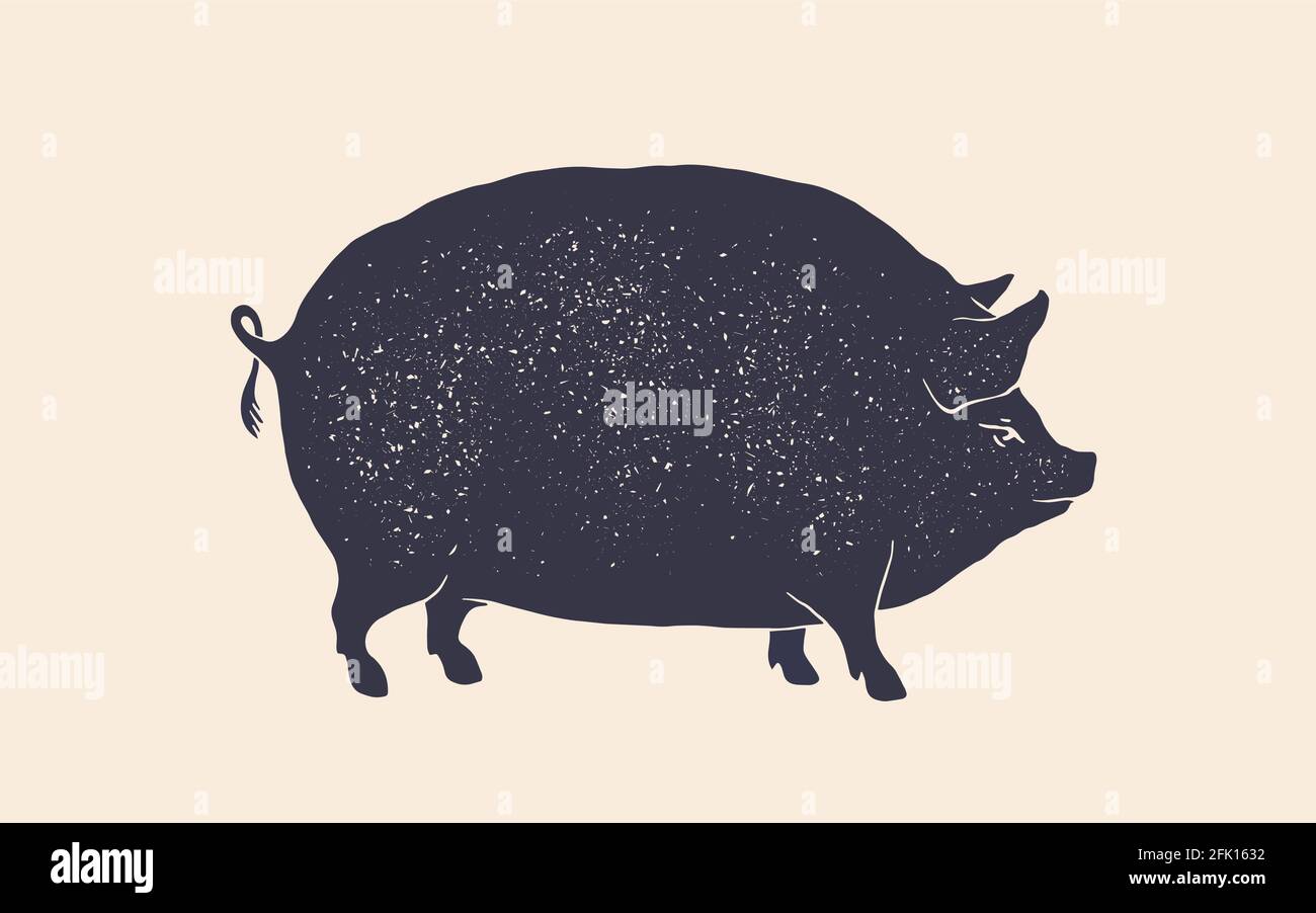 Pork, pig. Vintage retro print, silhouette pig Stock Vector Image & Art ...