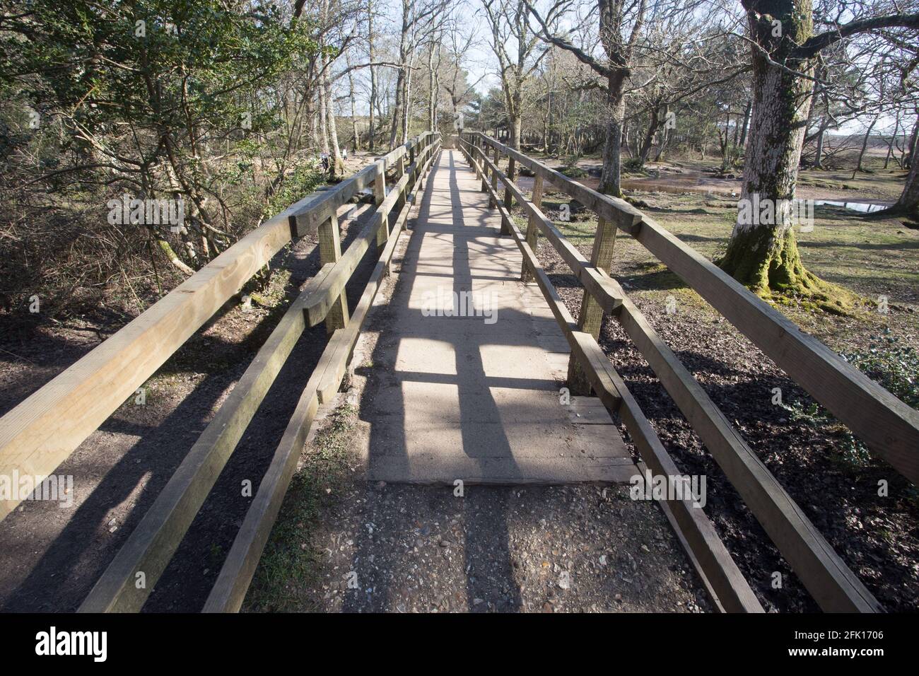 Spring trees New Forest Stock Photo - Alamy