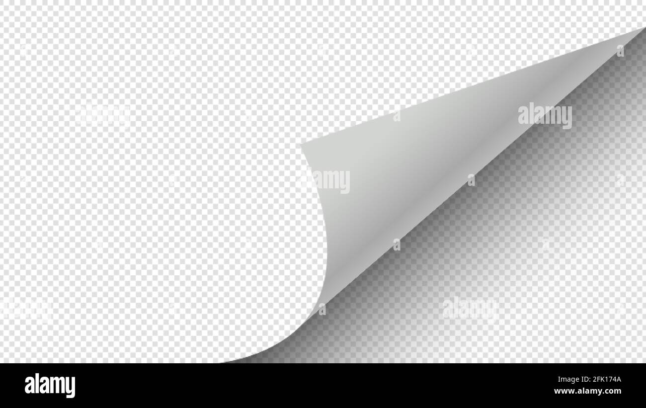 Curled page. Paper page turning corner vector illustration. Transparent ...