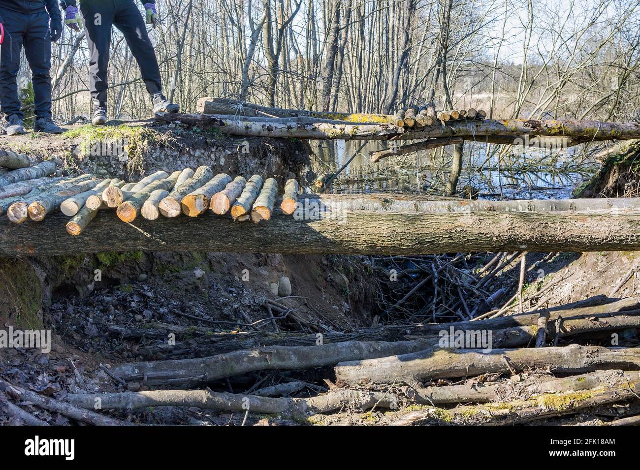 Building a bridge for pedestrians. Bridge over the ditch. Log Bridge ...