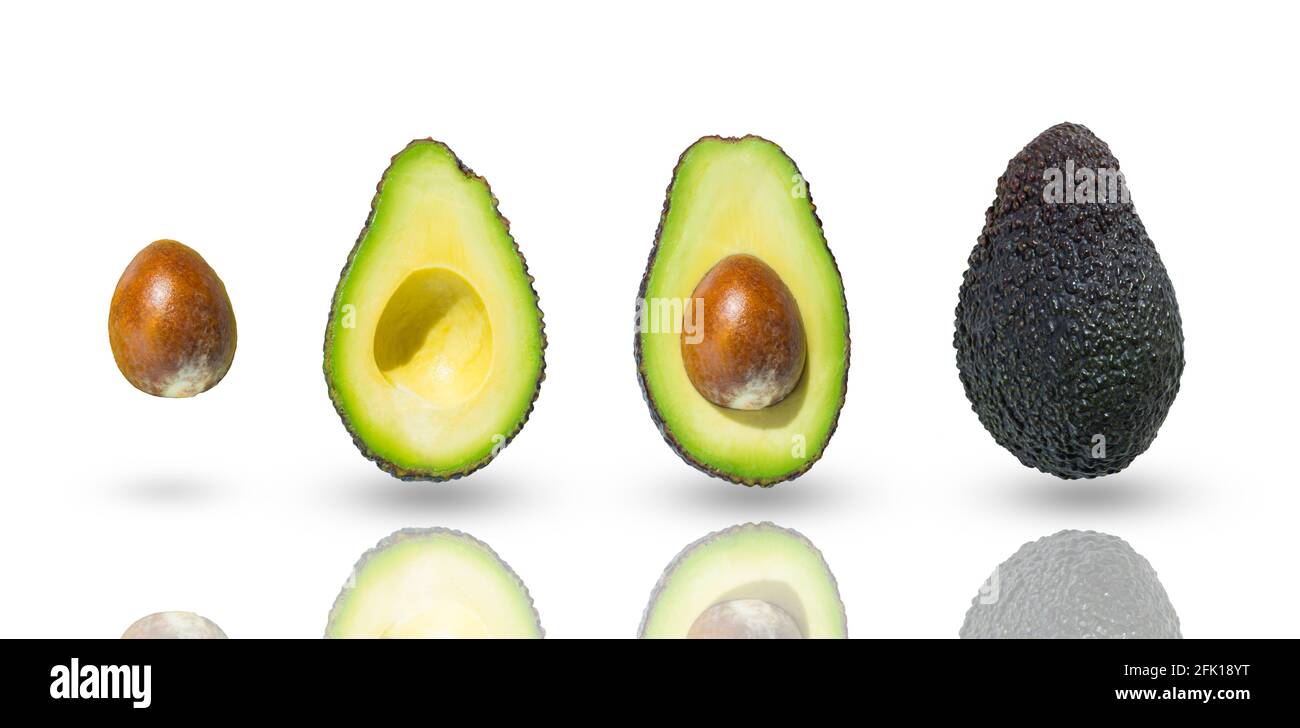 Fresh ripe avocado fruit and halves isolated on white background Stock ...